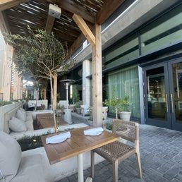 PREDALINA - Updated December 2025 - 1010 Photos & 341 Reviews - 1001 E ...