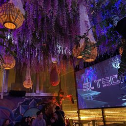 EL TECHO - Updated June 2025 - 749 Photos & 466 Reviews - 606 Florida ...