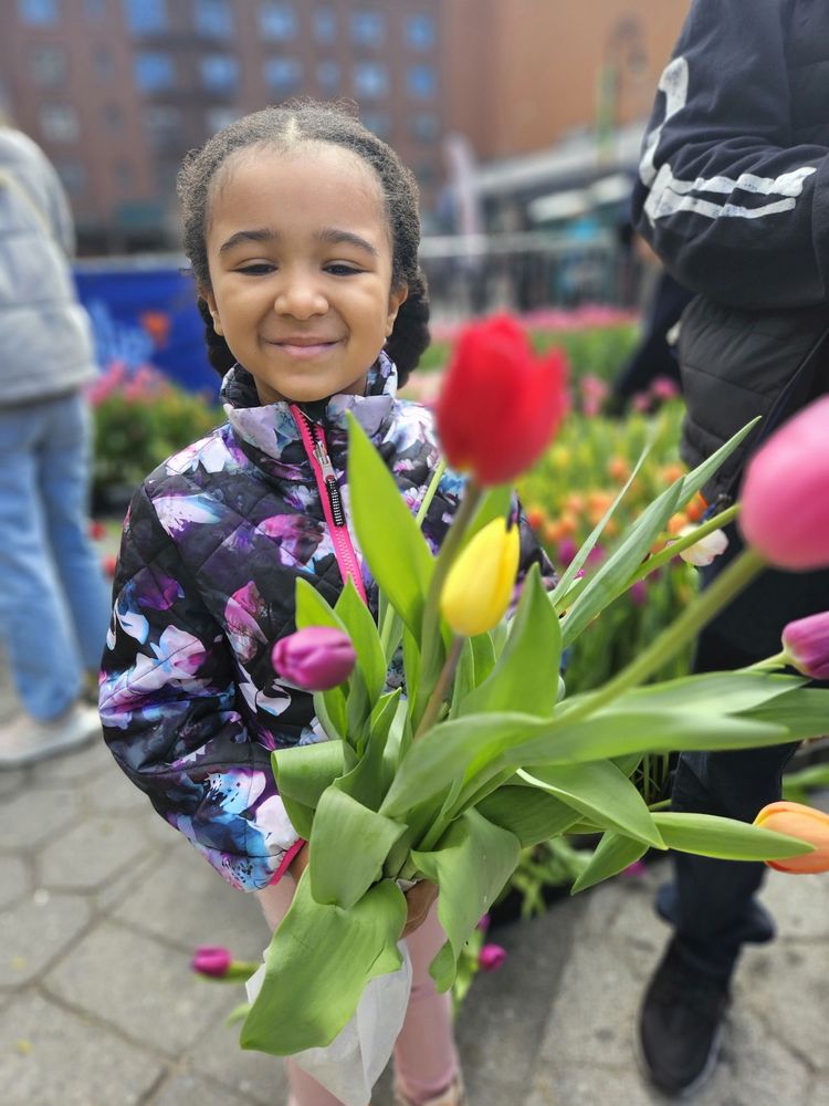 TULIP DAY NYC - Updated August 2025 - 17 Photos - 201 Union Square, New ...