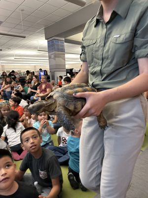 SAN BERNARDINO COUNTY LIBRARY - CHINO BRANCH - Updated August 2025 - 26 ...