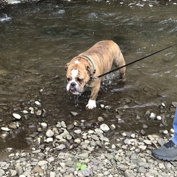 BEAVER MEADOW FAMILY CAMPGROUND - Updated October 2025 - 12 Reviews ...