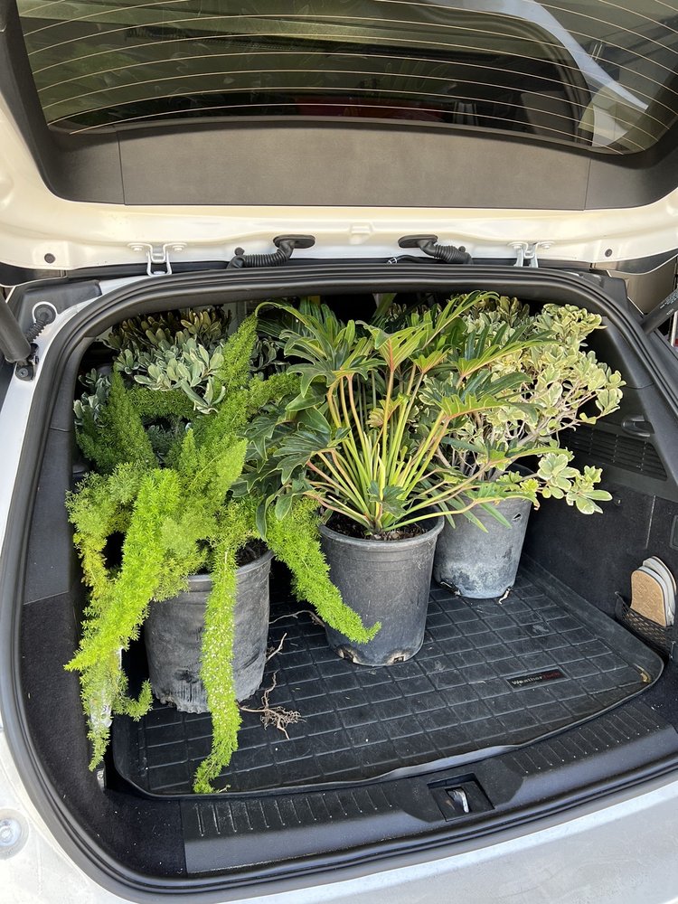 JAVIER FLOWERS & GARDEN - Updated December 2025 - 56 Photos & 73 ...