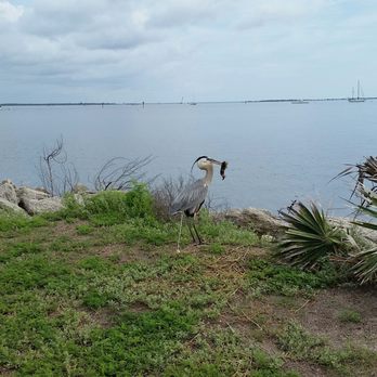 SAND POINT PARK - Updated January 2026 - 36 Photos & 11 Reviews - 419 N Washington Ave ...