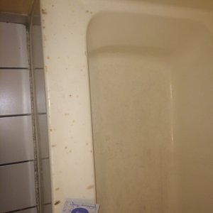 MOUNTAIN AIR RANCH - Updated June 2024 - 9006 S Mica Mine Gulch Rd ...