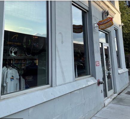 CURIOUS DOG - Updated December 2025 - 194 Photos & 165 Reviews - 200 W ...