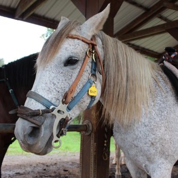 RED BUFFALO RANCH - Updated August 2024 - 67 Photos & 53 Reviews - 1106 ...