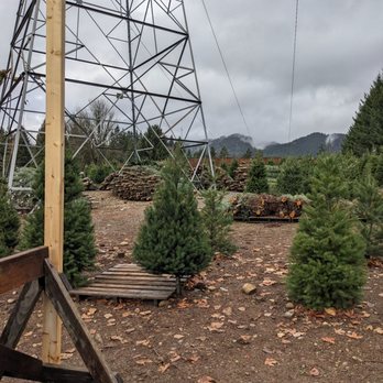 TRINITY TREE FARM - Updated December 2025 - 214 Photos & 104 Reviews ...