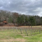 BEAR CLAW VINEYARDS - 148 Photos & 77 Reviews - 2281 Tennis Court Rd ...