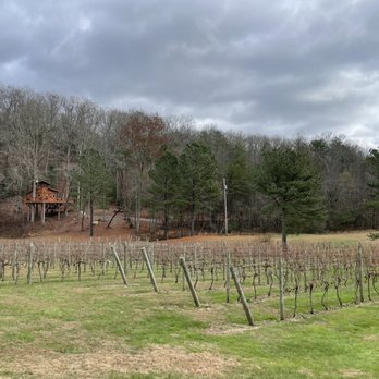 BEAR CLAW VINEYARDS - 169 Photos & 87 Reviews - 2281 Tennis Court Rd ...