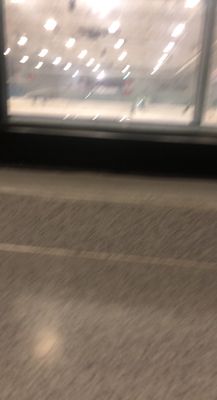 ELLENTON ICE & SPORTS COMPLEX - Updated September 2025 - 22 Photos & 30 ...