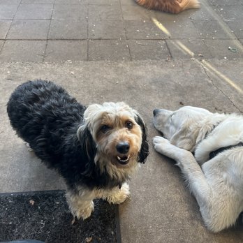 THE BREWMASTER’S TAPROOM - Updated May 2025 - 371 Photos & 105 Reviews ...