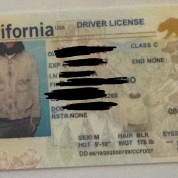 DEPARTMENT OF MOTOR VEHICLES - Updated September 2025 - 116 Photos ...