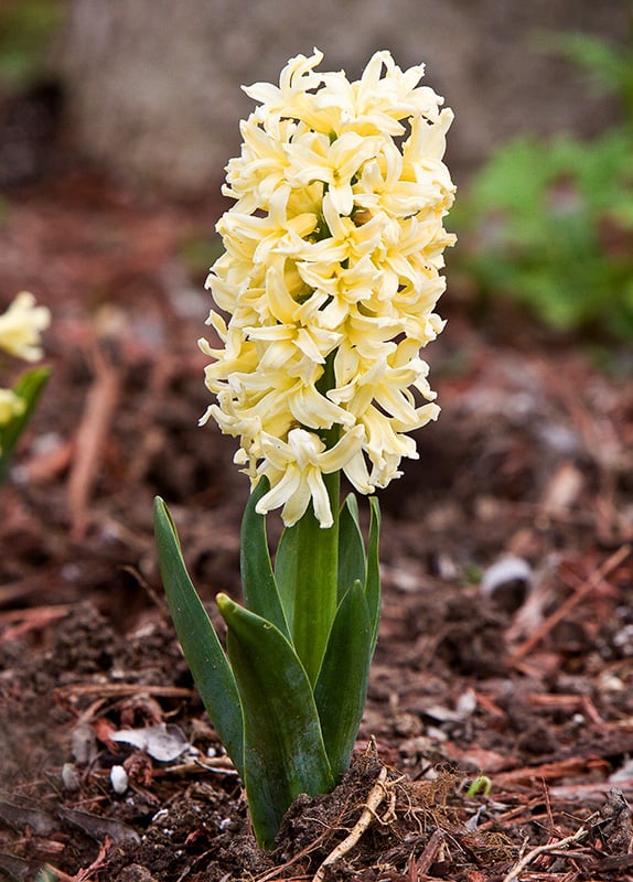 TROPHY CLUB PARK - Updated January 2026 - 126 Photos & 11 Verified ...