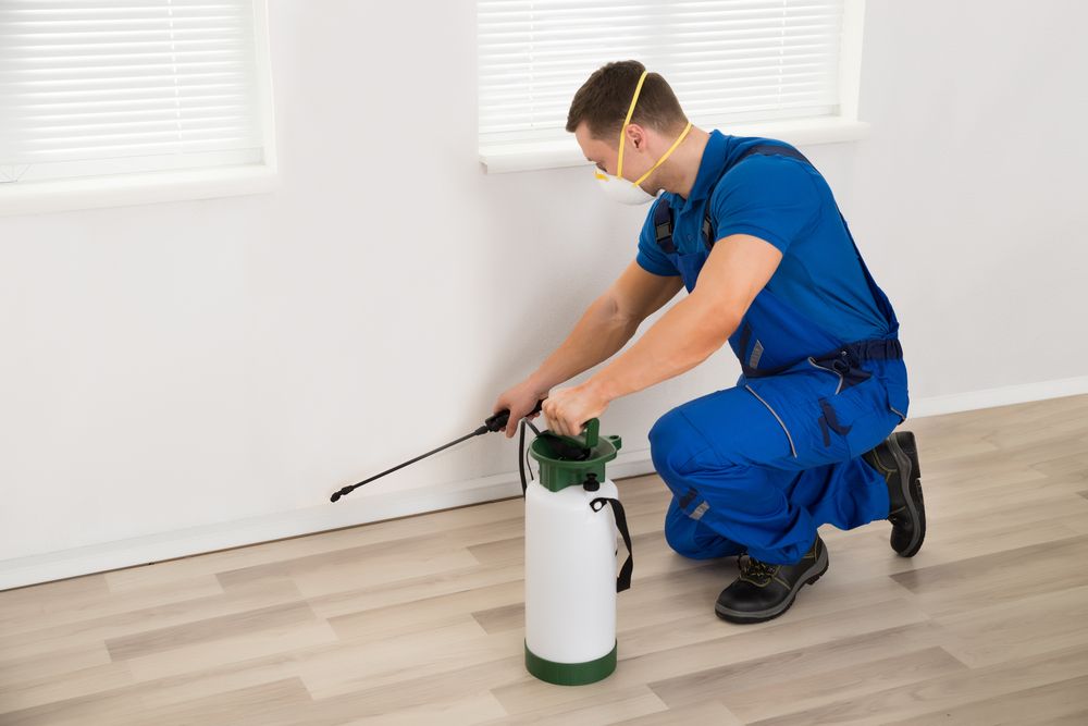 DIAL A BUG PEST CONTROL - Updated June 2026 - 14 Photos & 36 Reviews ...