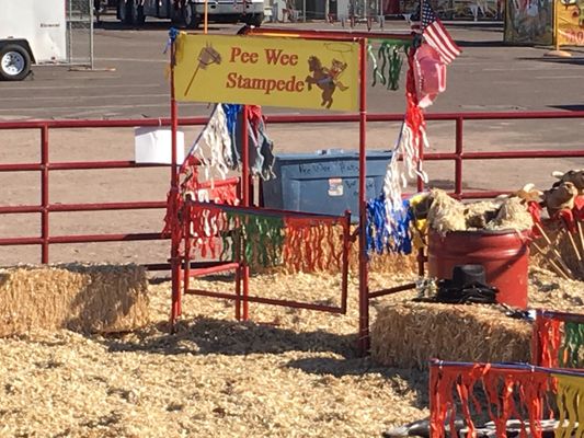 ARIZONA NATIONAL LIVESTOCK SHOW - Updated September 2025 - 14 Photos ...