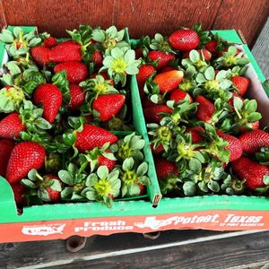 ROCKBERRY RANCH - Updated September 2025 - 159 Photos & 22 Reviews ...