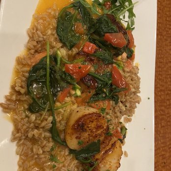 GIARDINO ITALIAN RESTAURANT - Updated August 2024 - 155 Photos & 227 ...