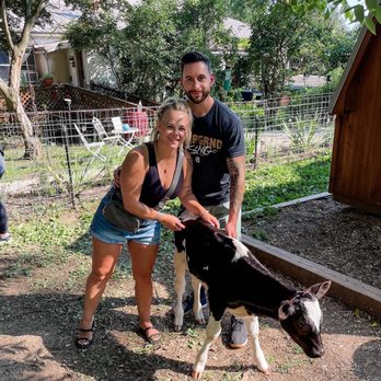 ROSE BRIDGE FARM & SANCTUARY - Updated March 2024 - 173 Photos & 62 ...