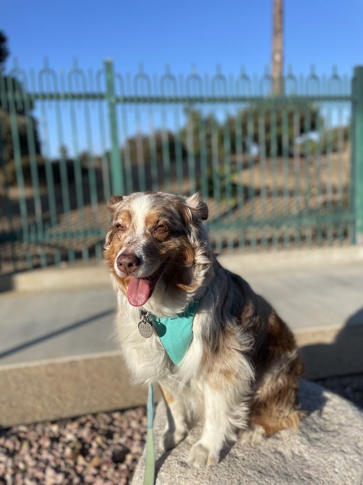 ROWENA RESERVOIR - Updated October 2025 - 50 Photos - 3100 Ettrick St ...