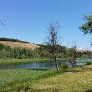 Lost Lake Park - 129 Photos & 20 Reviews - Parks - Fresno, CA