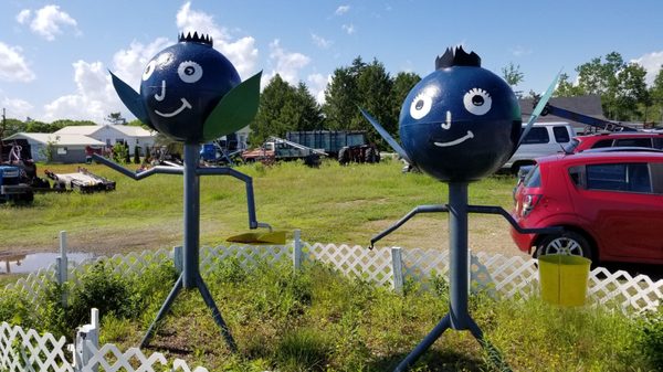 MCKAY’S WILD BLUEBERRIES - Updated January 2026 - 18 Photos & 11 ...