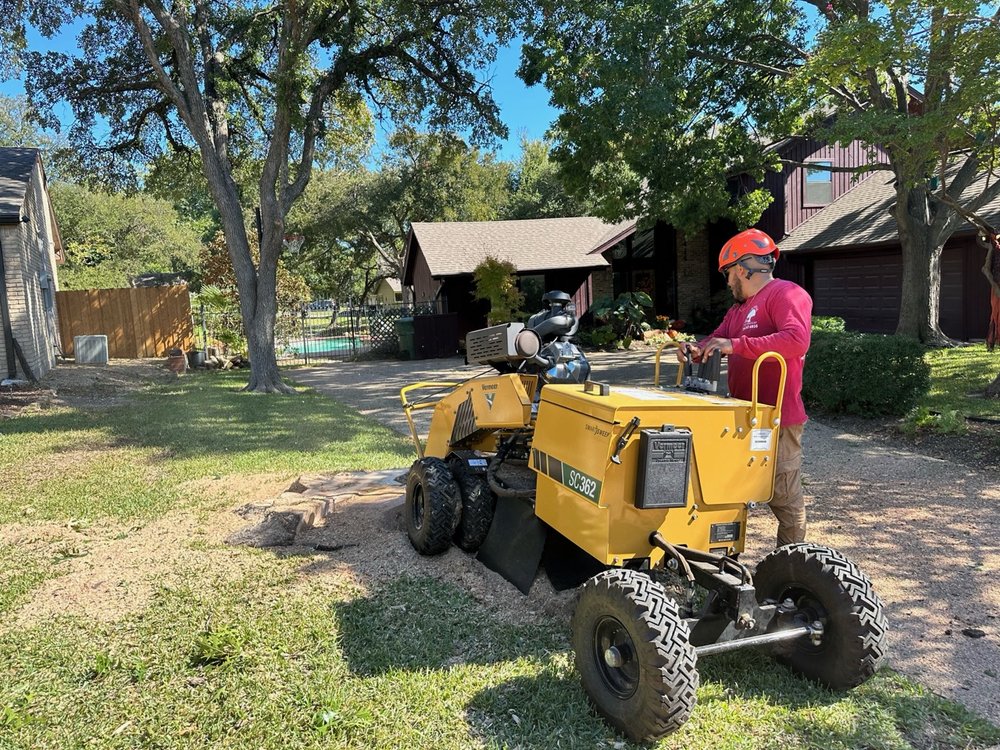 CARDINAL TREE EXPERTS - Updated July 2025 - 32 Photos - Plano, Texas ...