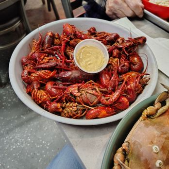 DEWY DEW BUGZ - Updated December 2025 - 40 Photos & 59 Reviews - 9419 ...