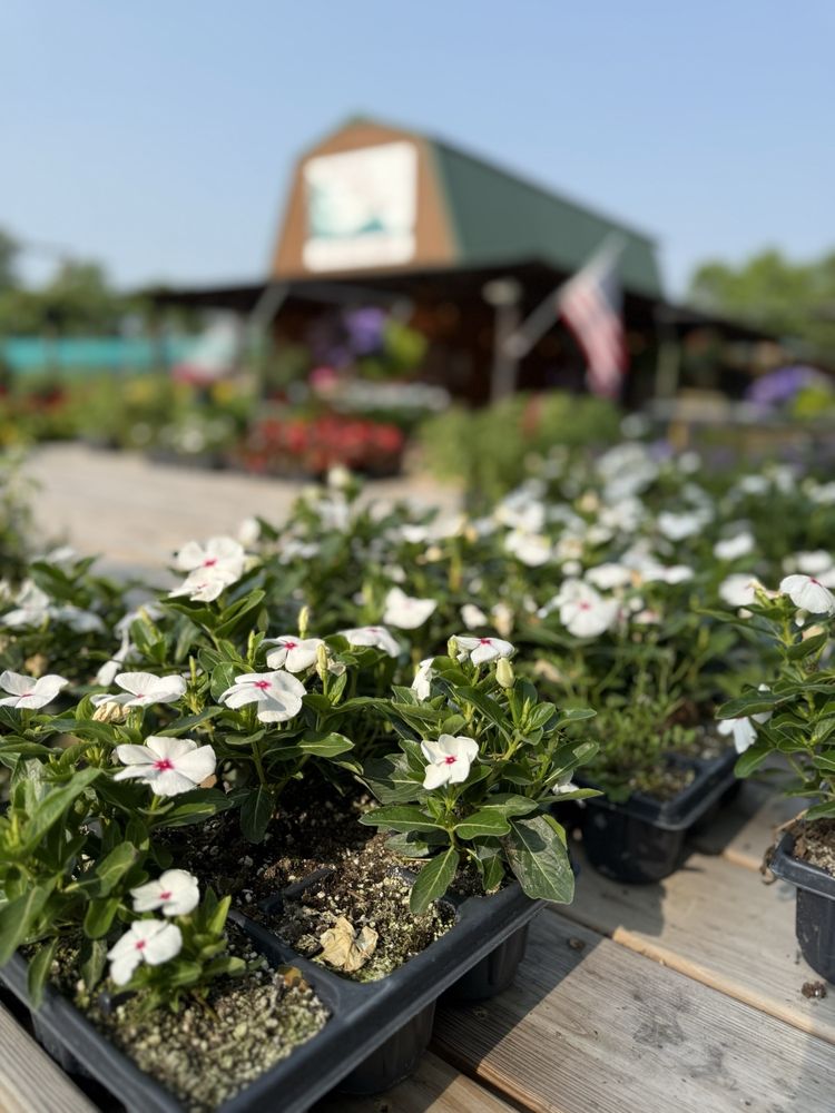 DRIVING WIND FARM - Updated October 2025 - 180 Photos & 28 Reviews ...