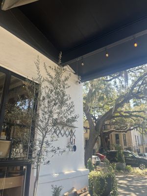 ASHER + RYE - Updated May 2024 - 348 Whitaker St, Savannah, Georgia - Furniture Stores - Phone ...