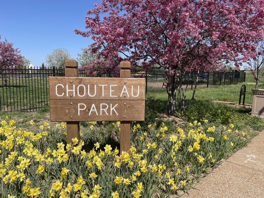 CHOUTEAU PARK - Updated October 2025 - 15 Photos - S Newstead Ave ...
