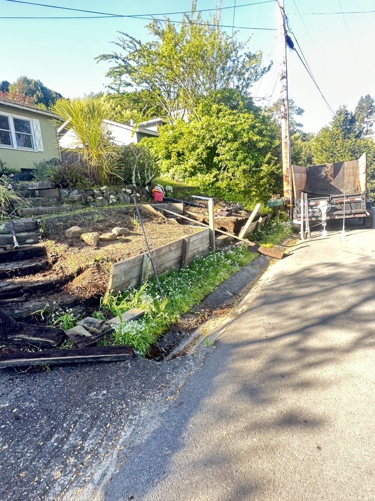 JR TREE SERVICE - Updated May 2024 - 42 Photos - Novato, California ...