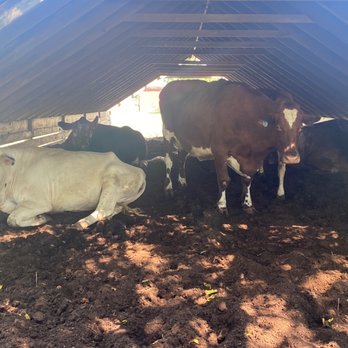 SUFFOLK COUNTY FARM - Updated December 2025 - 67 Photos & 16 Reviews ...