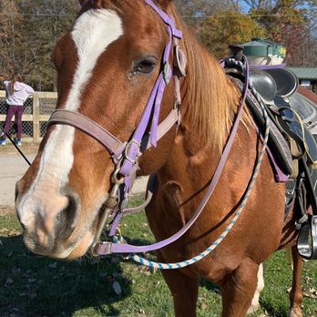 CEDAR CREEK RANCH - Updated December 2025 - 35 Photos & 36 Reviews ...