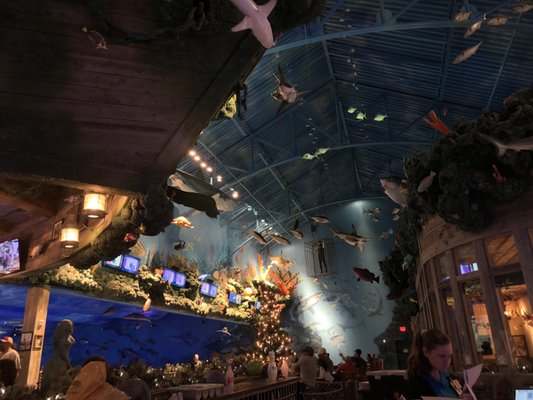 BASS PRO SHOPS - 150 Photos & 106 Reviews - 200 Bass Pro Dr, Round Rock ...