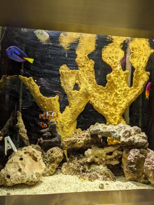 BELLE ISLE AQUARIUM - 330 Photos & 76 Reviews - 3 Inselruhe Ave ...