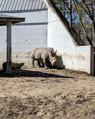 HENRY VILAS PARK ZOO - Updated October 2025 - 496 Photos & 254 Reviews ...