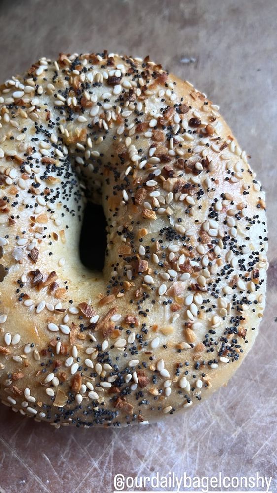 OUR DAILY BAGEL - Updated October 2025 - 24 Reviews - 308 Fayette St ...