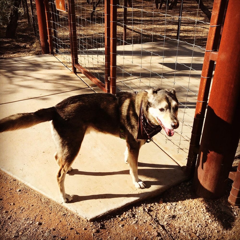 SMILING DOG RANCH AT GEORGE MEHL FAMILY PARK - 16 Photos & 14 Reviews ...