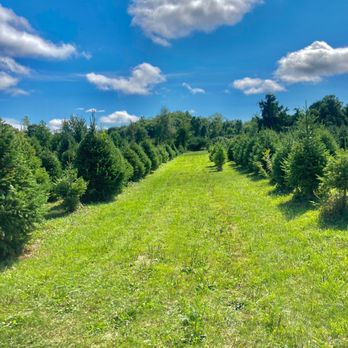 WILKENS FRUIT AND FIR FARM - Updated September 2024 - 345 Photos & 179 ...