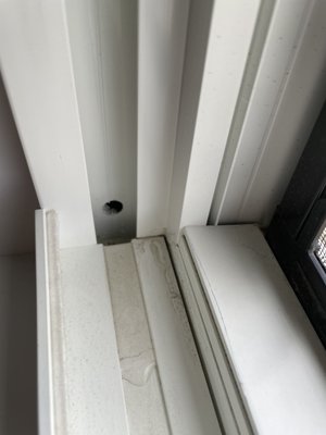 ECOLINE WINDOWS - Updated December 2025 - 93 Photos & 43 Reviews ...