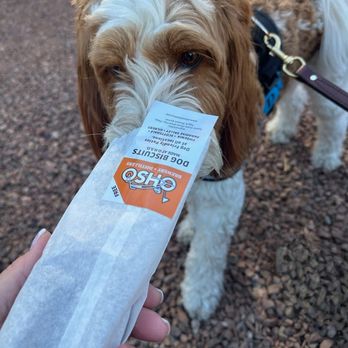 OHSO & LITTLE O’S - Updated December 2024 - 74 Photos & 52 Reviews ...