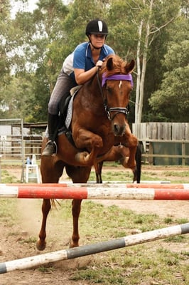 FOREST LAKE RIDING SCHOOL - Updated October 2025 - 19 Greentree Cres ...