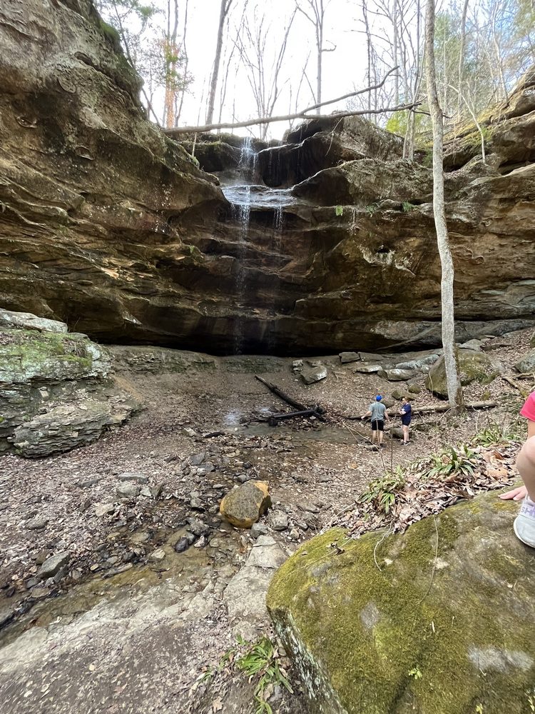 HEMLOCK BLUFF NATURE PRESERVE - Updated May 2026 - 13 Photos - 12023 W ...
