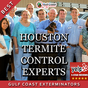 CYPRESS CREEK PEST CONTROL - Updated December 2025 - 52 Reviews - 8722 ...