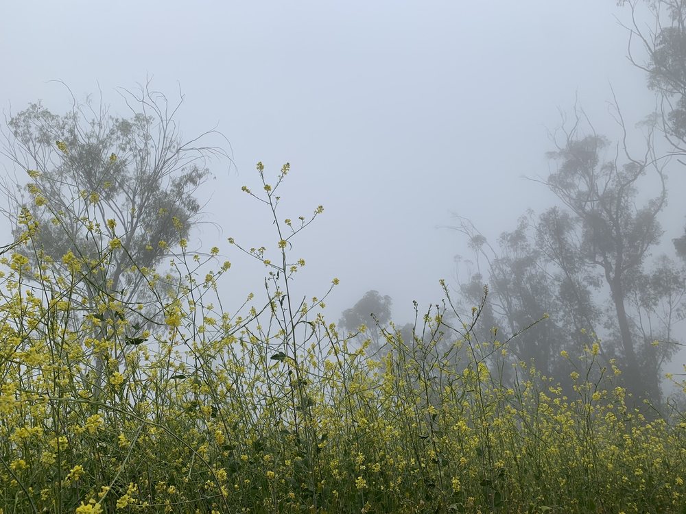 MURPHY RANCH PARK - Updated August 2025 - 211 Photos & 59 Reviews ...