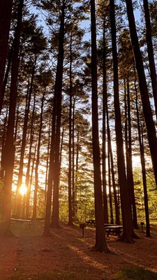 COCHITUATE STATE PARK - Updated September 2024 - 58 Photos & 35 Reviews ...