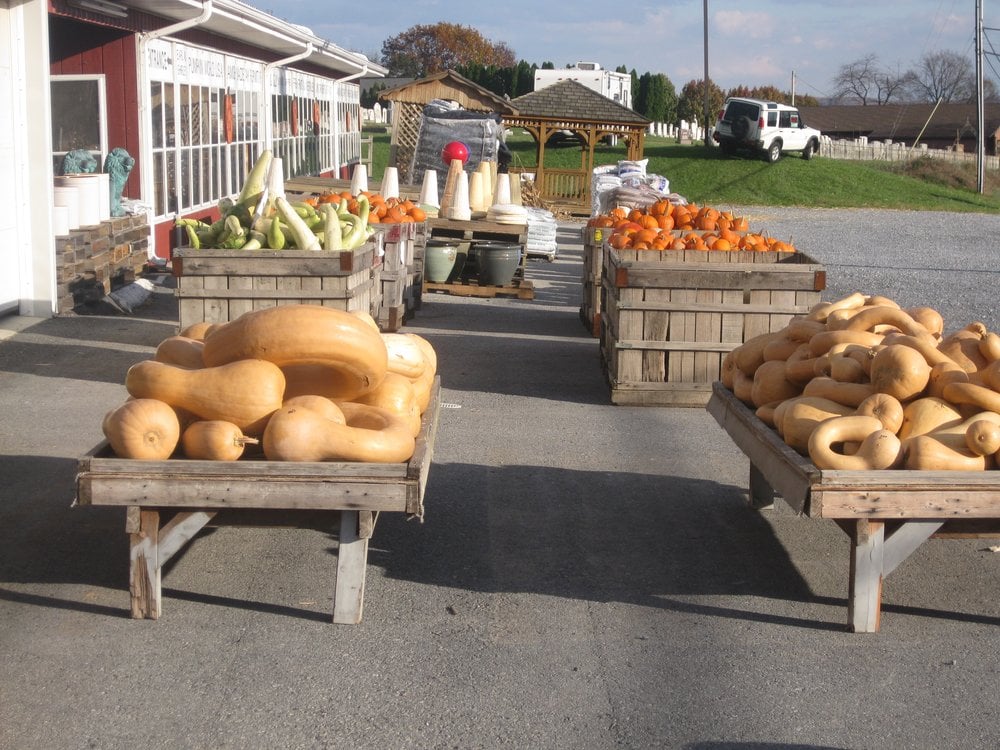 PUMPKIN WORLD USA - Updated October 2025 - 530 Hershey Rd, Hummelstown ...