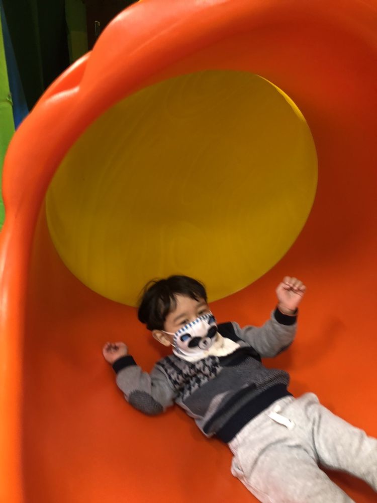 JUNGLE ADVENTURE - 90 Photos & 47 Reviews - 149-13 14th Ave, Whitestone ...