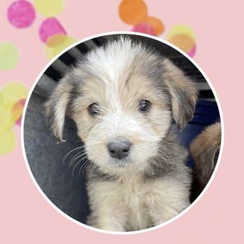 PVAS - TRENTON CENTER - Updated December 2025 - 43 Photos & 13 Reviews ...