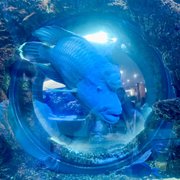 THE DALLAS WORLD AQUARIUM - 3027 Photos & 1121 Reviews - 1801 N Griffin ...